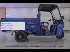 China 1.6m Passenger Long Endurance Sunroof Transport Cargo Tricycle Electric for sale