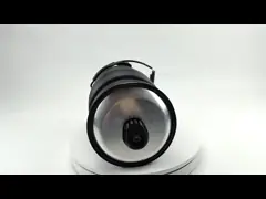 China 420512019AL Air Suspension Spring Shock Absorber For Audi R8 2007-2015 for sale