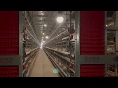 China Automatic Dosing Water Shortage Alarm Water Line Flushing System 24-Hour  Monitoring For Poultry Farming for sale