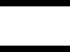 Company Introduction