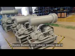 China Positive Displacement Cast Iron Roots Type Air Blower For Ash Blowing In Power Plant for sale