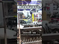 Pneumatic CE ISO Certified Wrap Around Case Packer with Schneider Electrics for Food and Beverage Packaging