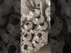 Stainless Steel Flange