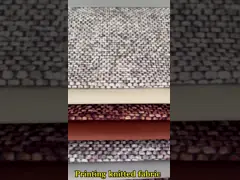 China Chenille Embossed Jacquard Velvet Fabric 100% Polyester Sofa Fabric For Furniture for sale