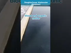 Slaughterhouse Wastewater Turns Crystal Clear | Bluwat Chemicals