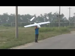 hand through drone