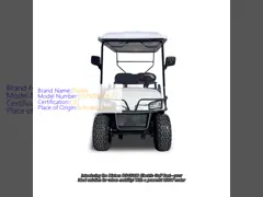 China Golf cart factory production foreign trade golf carts for sale