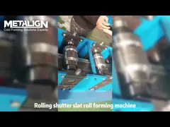 China High Precision Roller Shutter Door Roll Forming Machine With Servo Feeder And Hydraulic Cutter for sale