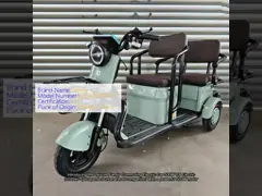 China Family Commuting Leisure Electric Tricycle 500 Watt C6 50KM/H for sale