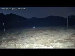 PTZ Camera