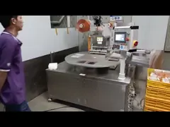 Cina Mappa macchina automatica di imballaggio e sigillamento personalizzabile stabile e affidabile in vendita