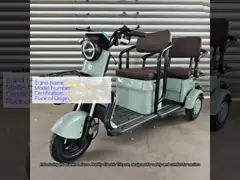 Leisure mobility elderly adult electric tricycle