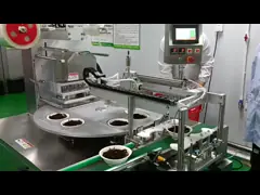 Pickled mustard greens take-out box Modified Atmosphere Packaging Line