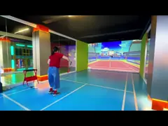 China Interactive Projection Badminton Hall Simulates Automatic Launching Throwing Machine for sale