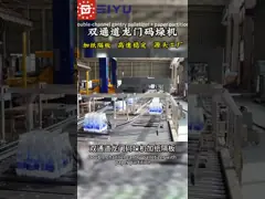 04-11 Double-channel gantry palletizer + paper partition customized for Russian customers