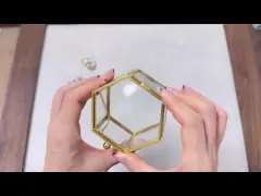 Hexagonal Geometric Clear Glass Greenhouse Jewelry Storage Box