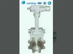 electric gate valves