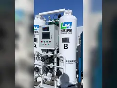 China Efficient Nitrogen Gas Generator For Food Packaging Industry Beer Beverage Potato Chips And Biscuit Nitrogen Protection for sale