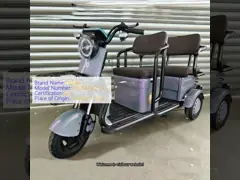 Electric Tricycle Manufacturers Wholesale Home Leisure Mobility Scooter