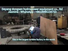 China 450-1000 RPM Water Turbine Generator with Advanced Brushless and Static Silicon Design for sale