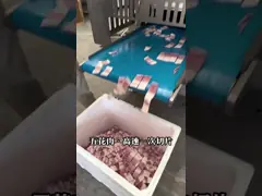 EPS500K Stainless steel Meat cutting machine