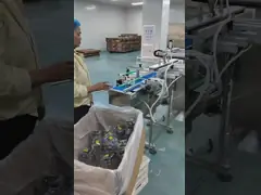 Preserved Fruit Modified Atmosphere Packaging