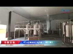 China SUS 304  Mango Processing Line 10 T/H Mango Pulp Processing Plant for sale