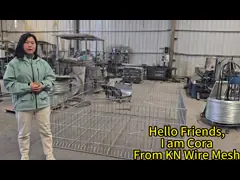 中国 ガーデンプランターのための 50x100mm メッシュホールとガルバニズム溶接ワイヤ網ガビオンボックス 販売のため