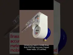 Brass Body R100 prepagato ad alta precisione, certificato STS, pagamento mobile integrato