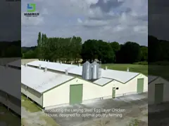 China China Low Cost Steel Structure Commercial Steel Egg Layer Chicken House Poultry Farming Shed Design Barn for sale