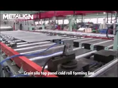 China High Efficiency Silo Forming Machine For Slanted Metal Grain Silo Roof Panels With Pre Punched Holes for sale