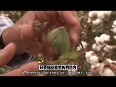 China Maize Armyworm Pesticide Safe Agriculture For Killing Pink Bollworm Control Pesticides for sale