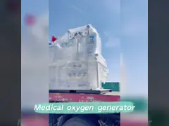 China Industrial PSA Oxygen Generator 99.5% Purity 0.6-0.8MPa Pressure for Medical & Industrial Use for sale