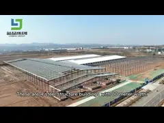 Steel Structure Building Project Showcase-Workshop  Warehouse Storage Garage Office