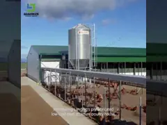 China High Quality Chicken Broiler Poultry Farm Steel Structure Shed House  Layer Chicken House Full Set Equipment for sale