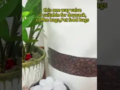 China Factory Plastic Air Valve Degassing Valve Coffee Valve For Coffee Bean Bag for sale