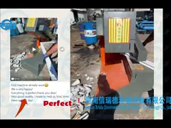 Cina 200T Scrap Shearing Machine riciclare scarti di metallo Hydraulic Alligator Shear in vendita