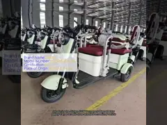 500W permanent magnet motor battery car three-wheeled recreational vehicle