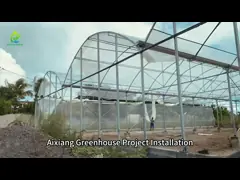 China UV Protection Greenhouse Cover Materials High Strength PE Stretch Film for sale