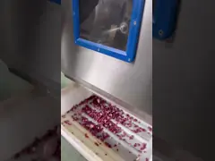 frozen meat cubing machine  4