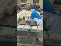 Bamboo shoots Modified Atmosphere Packaging Line