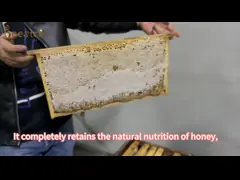 Cina 100% Puro Puro miele crudo miele naturale di stupro miele naturale di api miele naturale senza additivi alimenti salutari in vendita