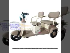 China 90KM 2 Person Electric Trike Adult Elderly Transporting Children for sale