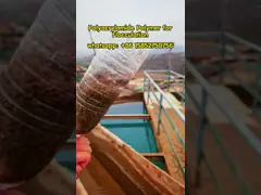 Polyacrylamide for Rapid Sand Washing Wastewater Flocculation & Sedimentation!