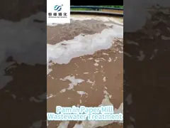 China Anionic Polymer PAM Ceramic Factory Wastewater Flocculant Polyacrylamide for sale