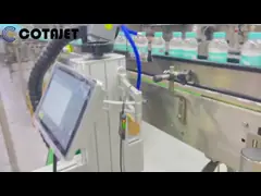 Macchina di marcatura laser volante a CO2 220V 50HZ con codifica / marcatura