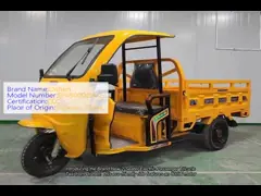 China 50KM/H 2 Seater Electric Passenger Tricycle For Adults for sale