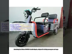 Electric tricycle passenger and cargo elderly battery car