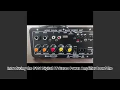 Power Amplifier Board Subwoofer Dual Microphone Karaoke Audio Board D10C Digital BT Stereo 24V/220V