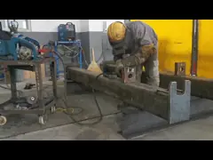 Cina Struttura metallica prefabbricata Edificio allevamento di bovini da latte capra casa di allevamento In acciaio leggero Cornice di cavallo Stalla struttura in acciaio pollame in vendita